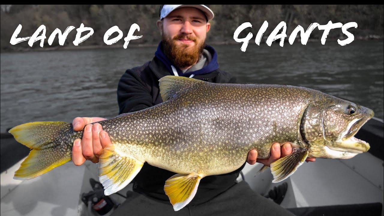 Land of Giants | Mega Lake Trout & Browns - YouTube
