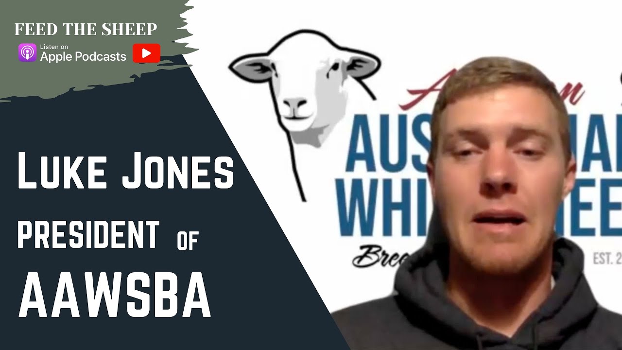 Luke Jones - (2022-2024) President of AAWSBA (American Australian White ...