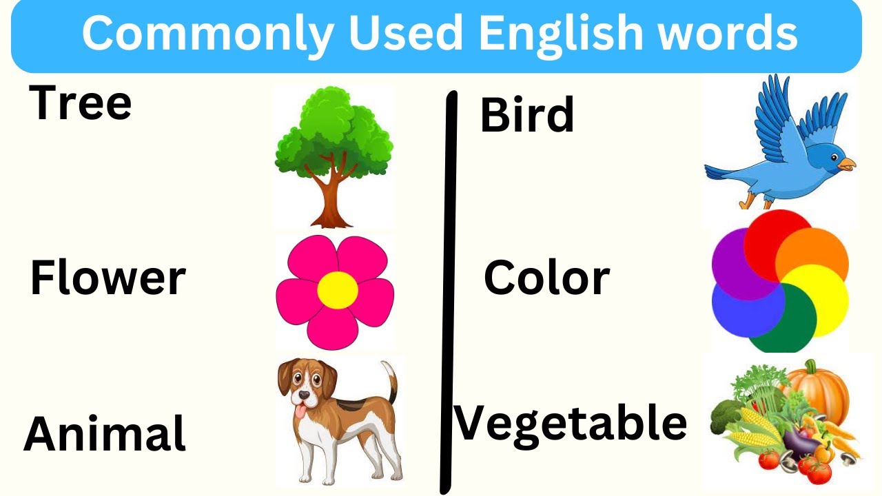 Daily Use English Words || Most Common Used English words || English ...
