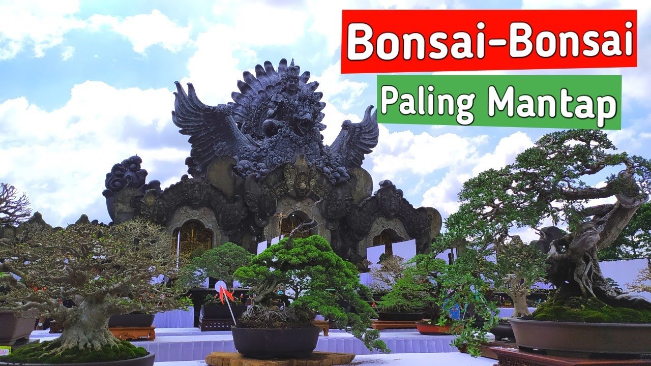 Kontes Bonsai Ter Woow Di Bali, Pelangi Bonsai Tabanan 2022 - YouTube