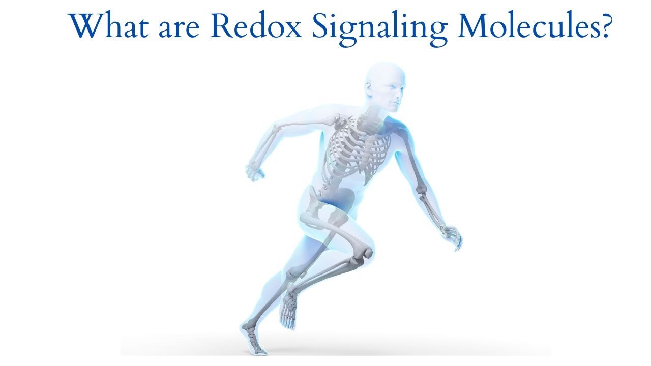 What are Redox Signaling Molecules? - YouTube