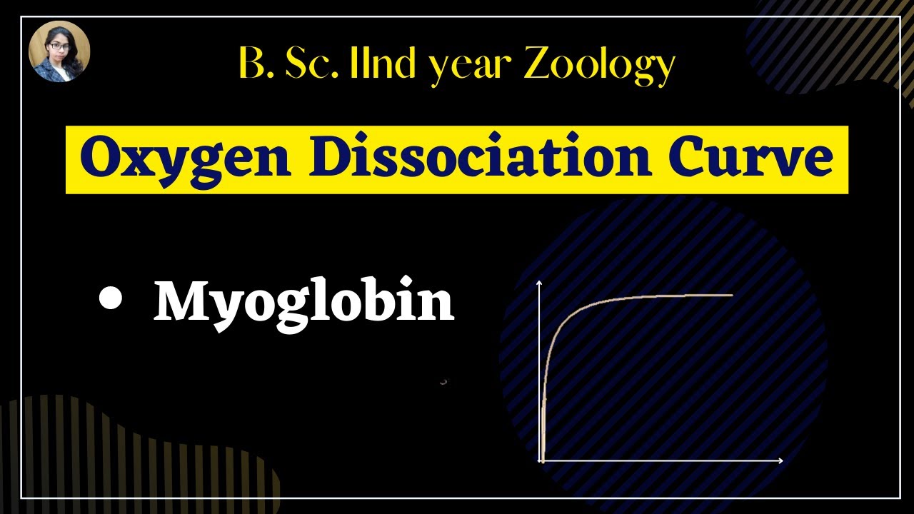Oxygen dissociation curve of myoglobin II B. Sc. IInd year II Zoology ...