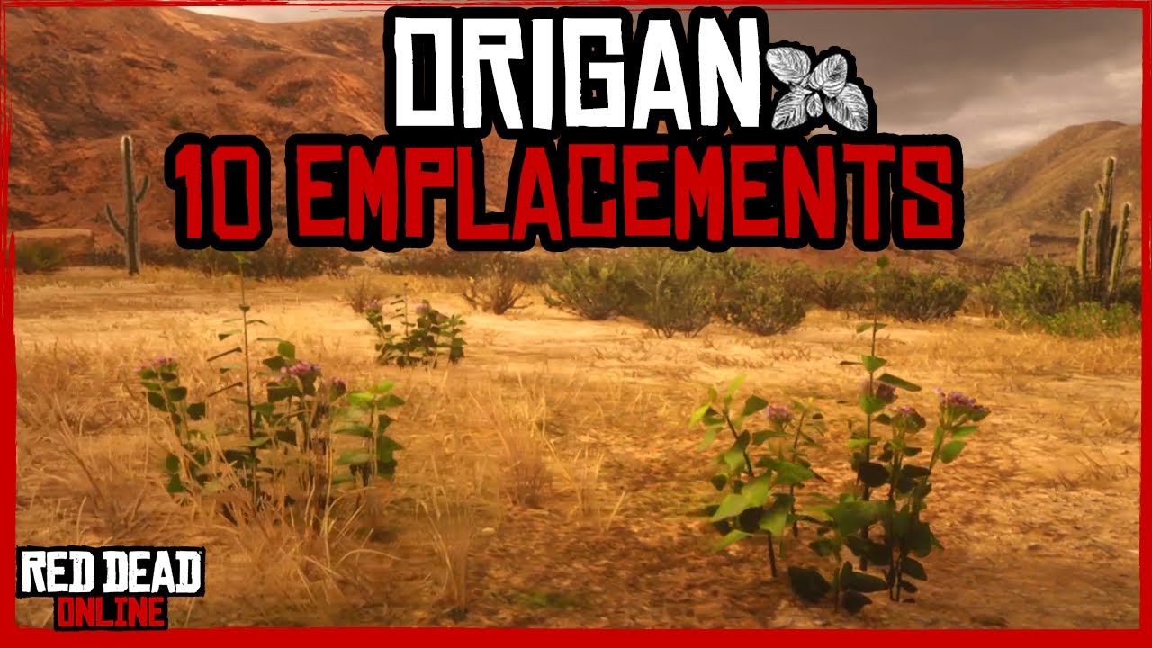 ORIGAN - 10 EMPLACEMENTS | Red Dead Online - Vonchester RDO - YouTube
