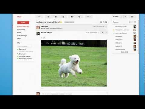 come ritrovare un animale smarrito