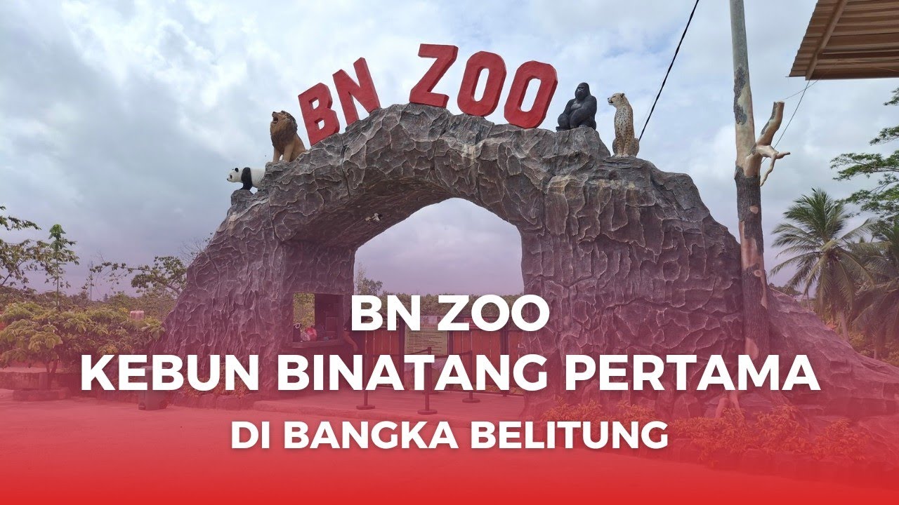 BN ZOO Kebun Binatang Pertama di Bangka Belitung - YouTube