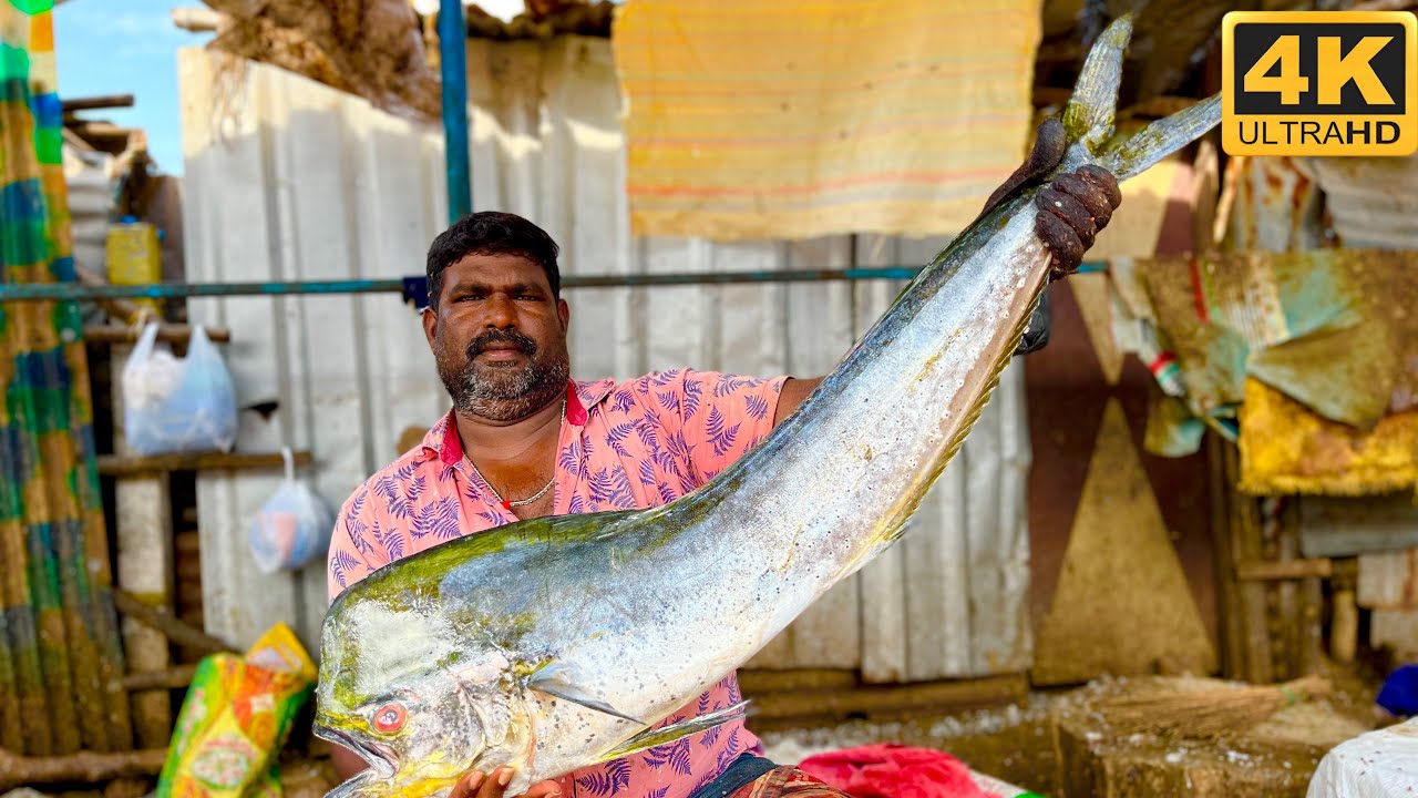 Parla fish cutting video/Fishcuttingrs #fishcuttingrs #kasimedu #fish ...
