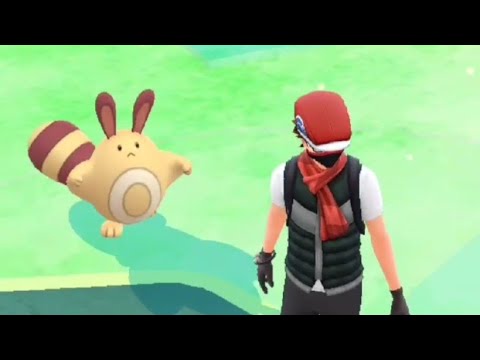 Sentret Shiny Hanging Out with Me! " Sentret Shiny Walking in Pokemon ...