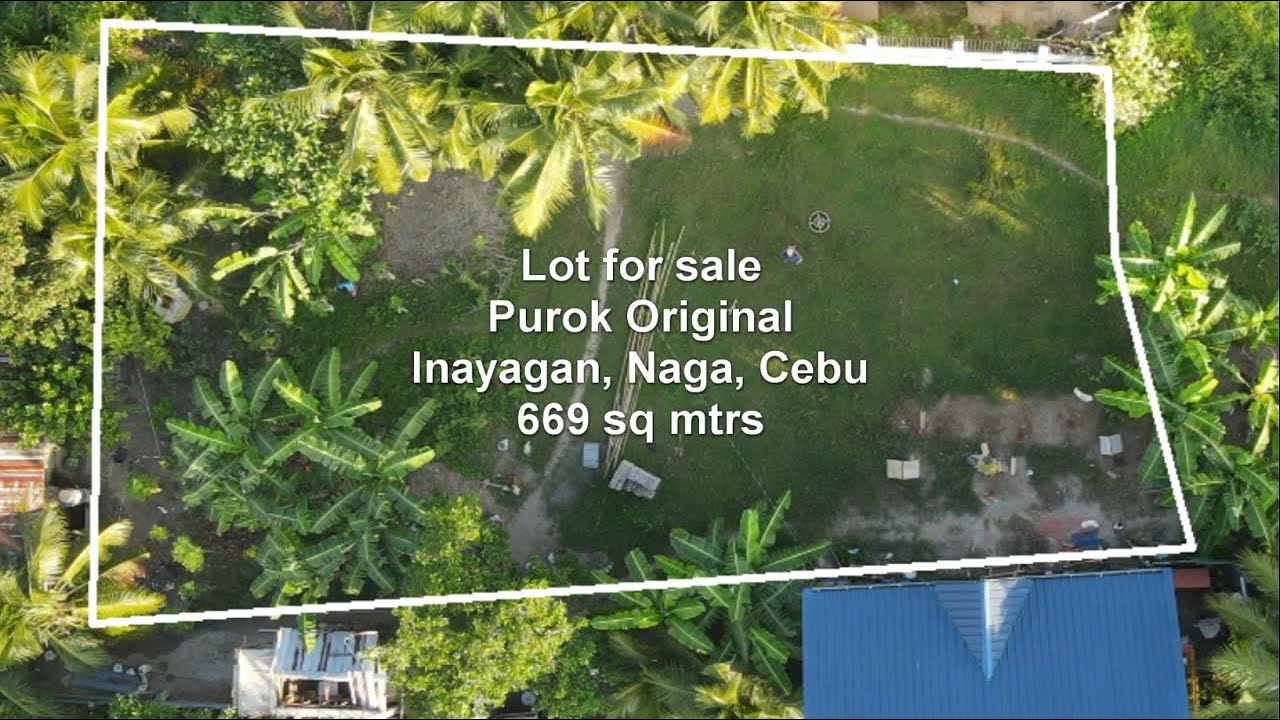 Lot for sale in Purok Original, Inayagan, Naga, Cebu - YouTube