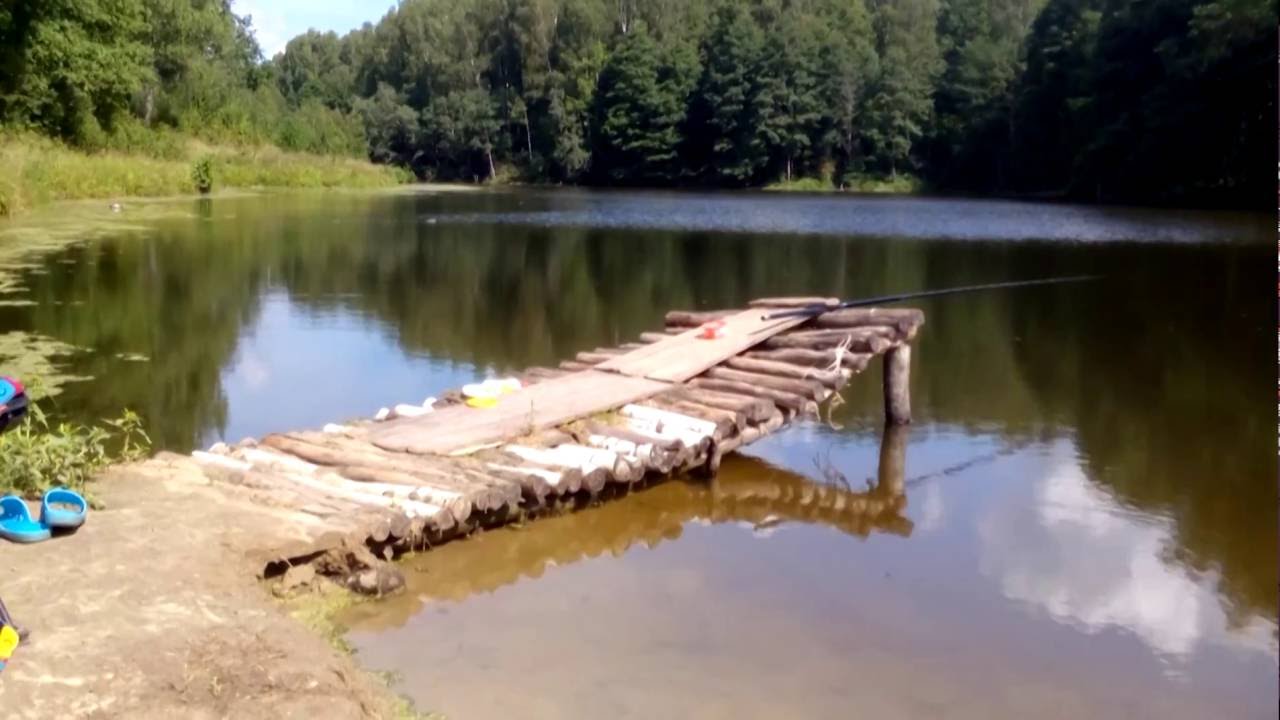 Shocking fishing/ Golden fish - YouTube