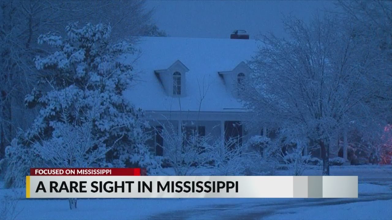 A rare sight in Mississippi - YouTube