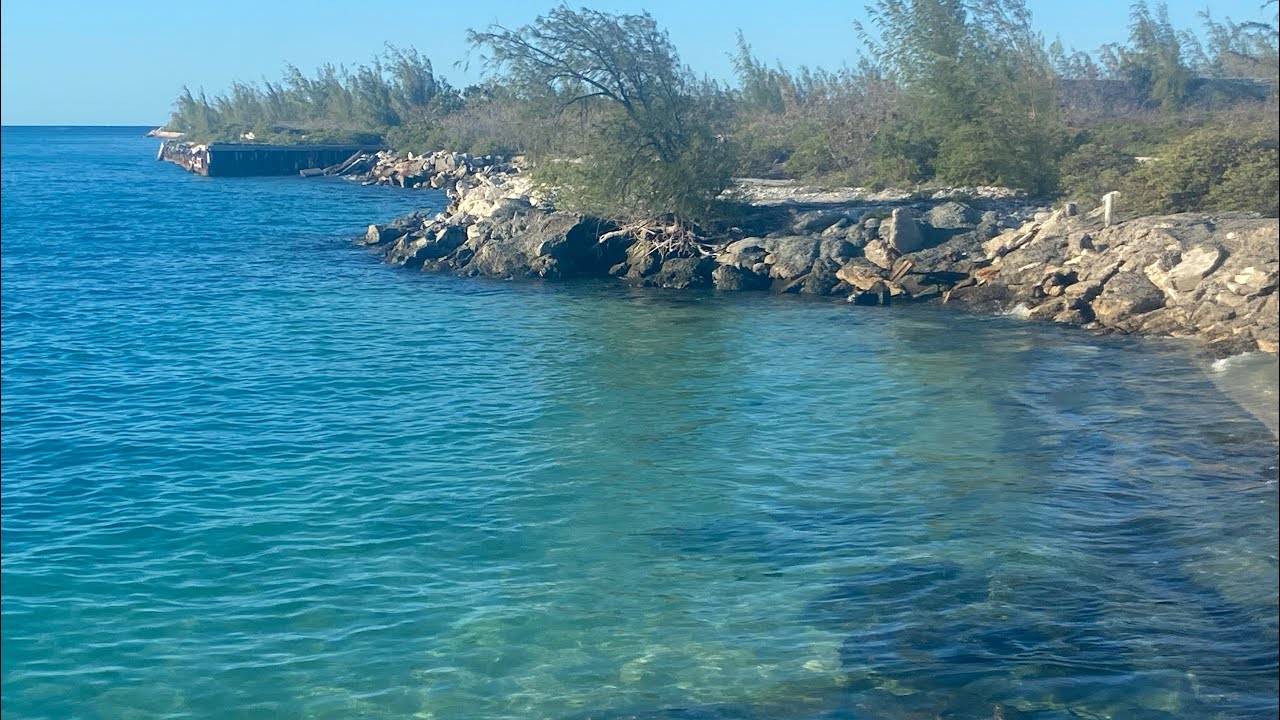 Shark Chute, Johnston Island Grey Reef Sharks - YouTube