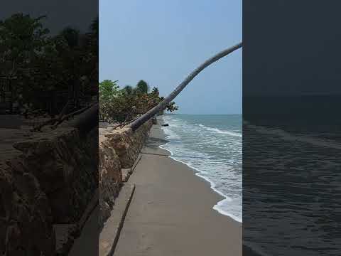 Playa del Francés, Tolú, Sucre - YouTube