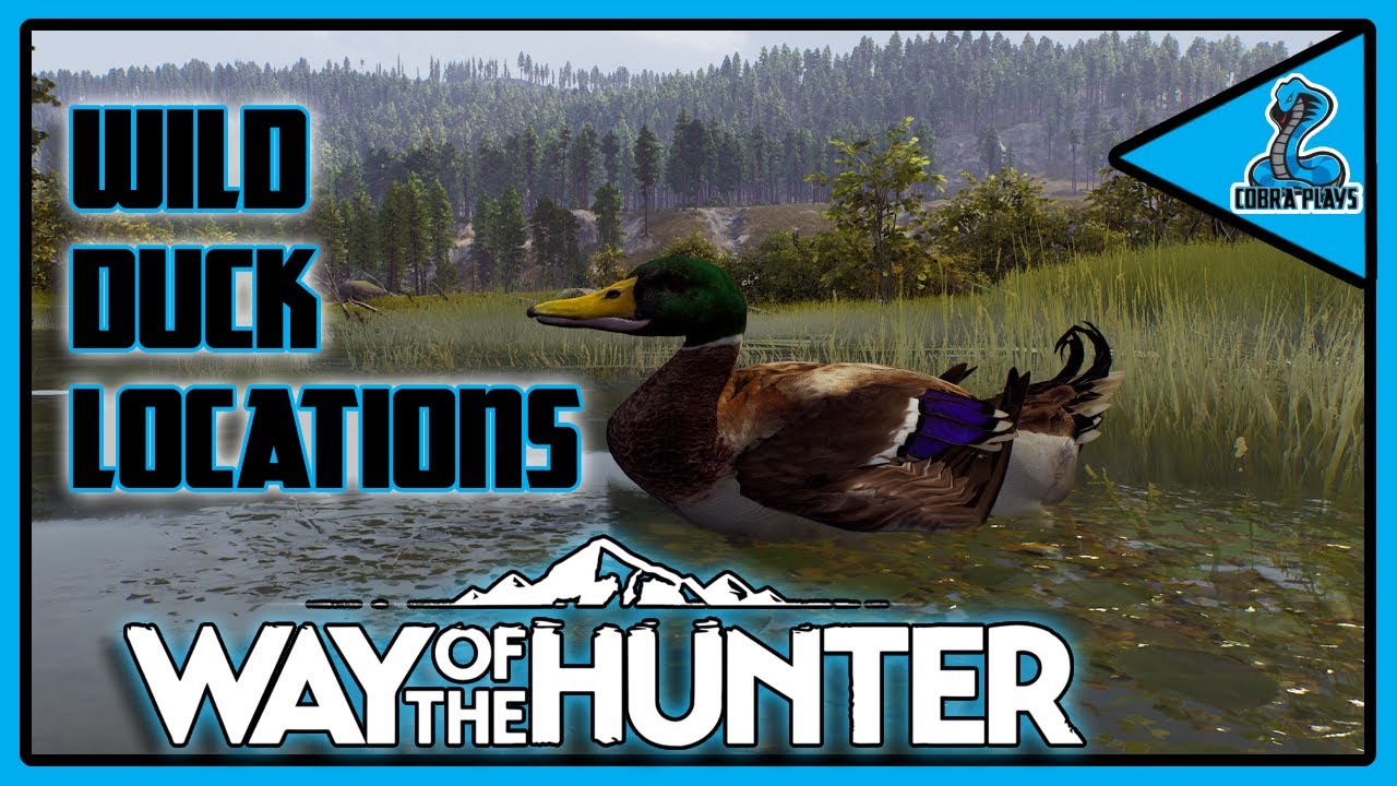 Wild Duck Locations - Way of the Hunter - YouTube