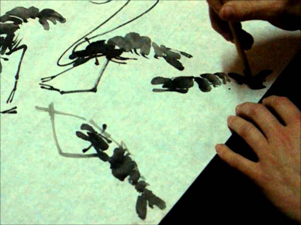Ogawa Ryu - Sumi-e Shrimp Study - YouTube
