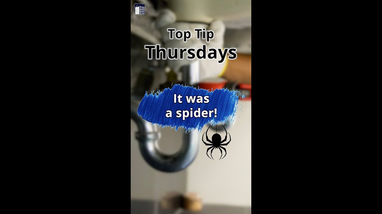 Top Tips Thursdays 46 - It was a spider! - YouTube