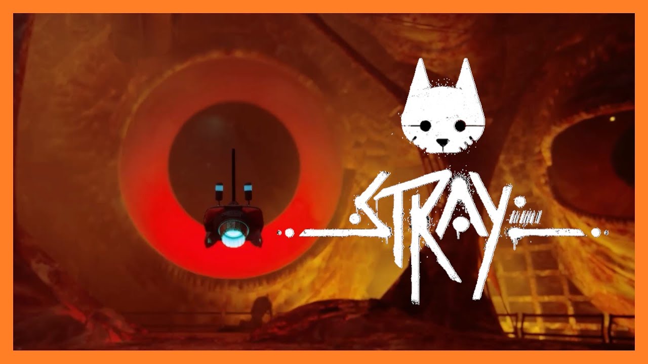 Stray 🐈 #009 Das ist doch ein Virus #stray #cat #katze #cute - YouTube