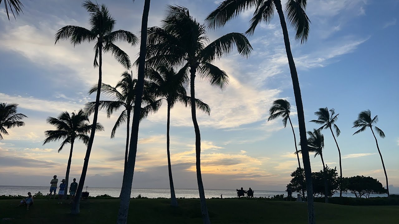 Happy Hawaii is going live! - YouTube