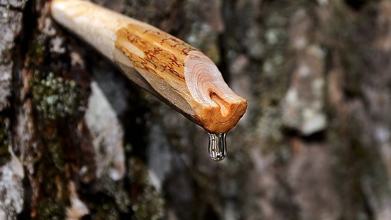 Carving a Spile and Tapping a Maple Tree - YouTube