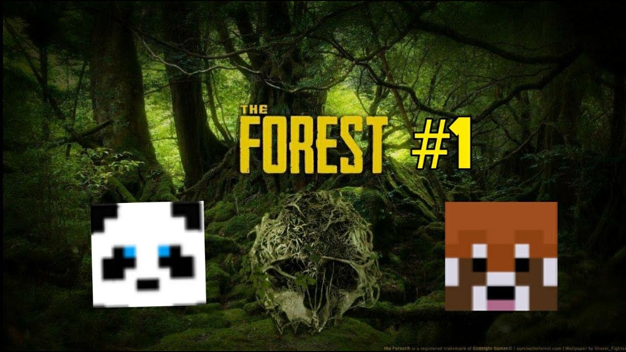 THE FOREST #1 UNA NUEVA AVENTURA EN EL BOSQUE - YouTube