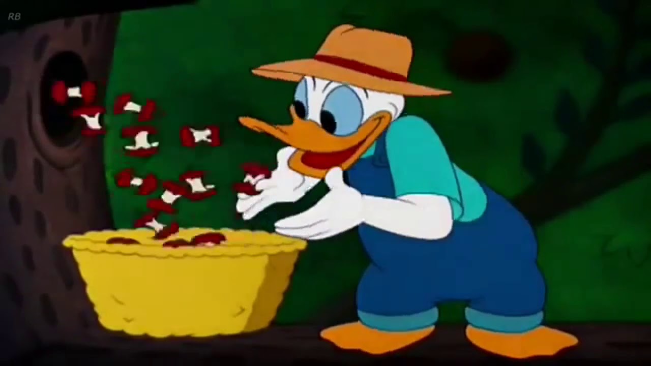 Chip And Dale,Donald Duck Donald Applecore - YouTube