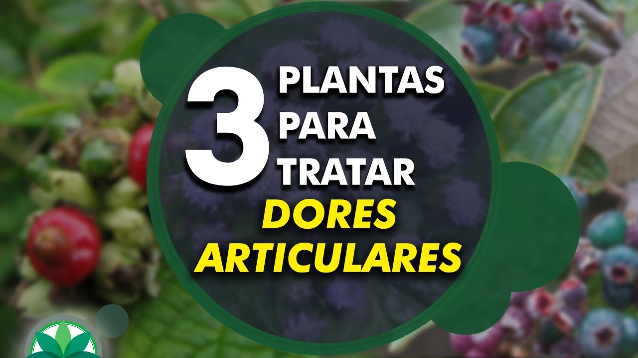 3 plantas para tratar dores articulares! - YouTube