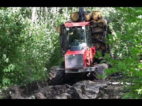 Valmet 840.3 logging in windy summer forest - YouTube