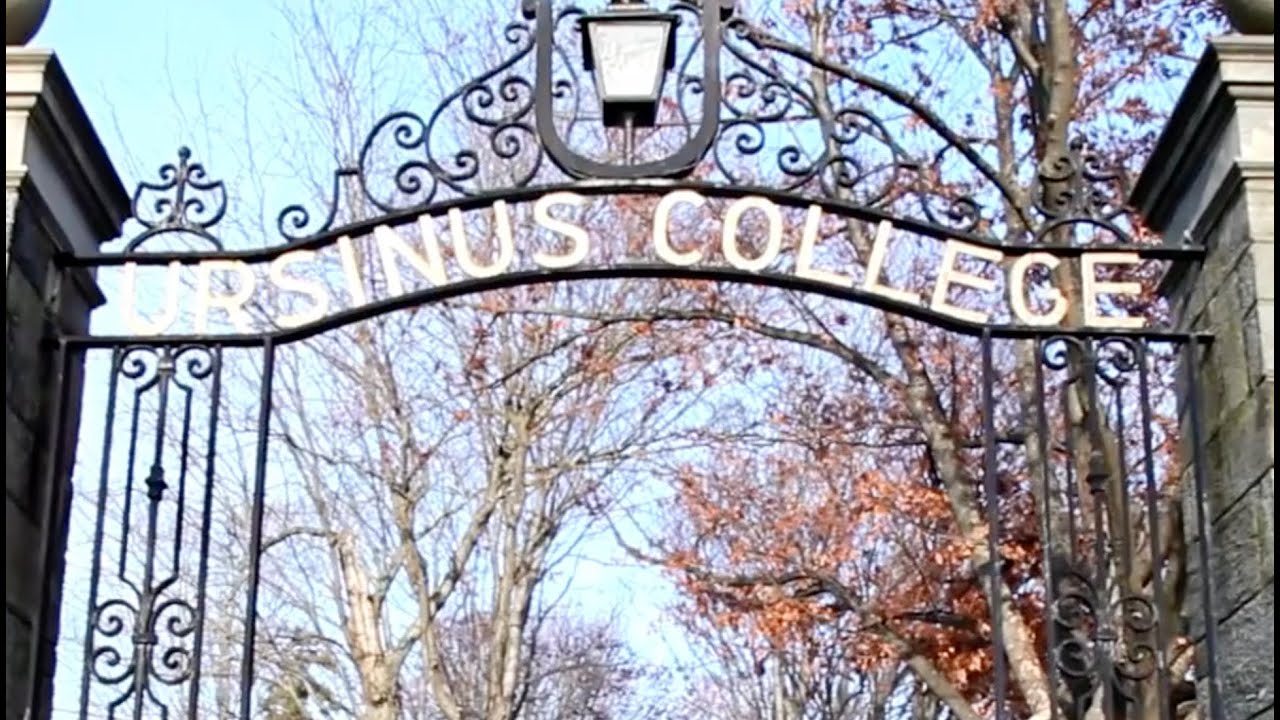 A Core Distinction The Common Intellectual Experience HD - YouTube