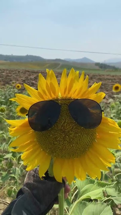 Güneşin Gölgesinden Doğaya 🌻☀️🏍️ Youtube