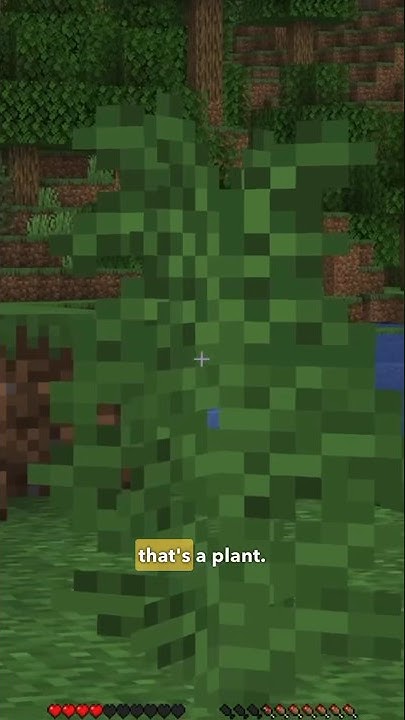 whats the RAREST minecraft block? - YouTube