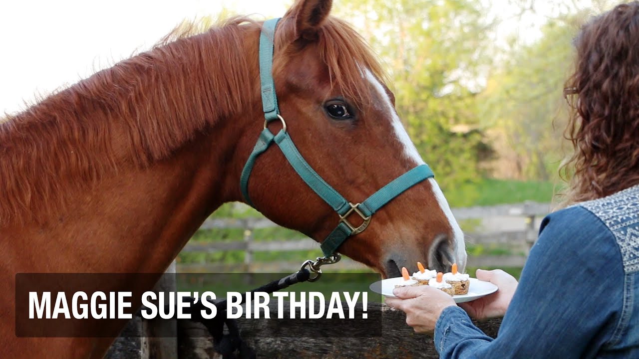 It's Maggie Sue's Birthday! - YouTube