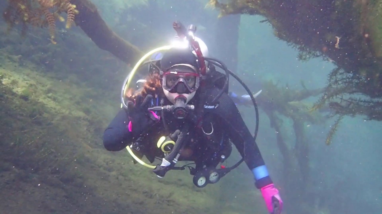 SCUBA Diving Wacissa Big Blue Spring with Tallahassee SCUBA instructor ...