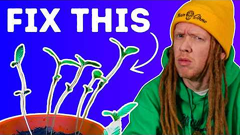 Advanced Grow Guide: Beyond the Basics - YouTube