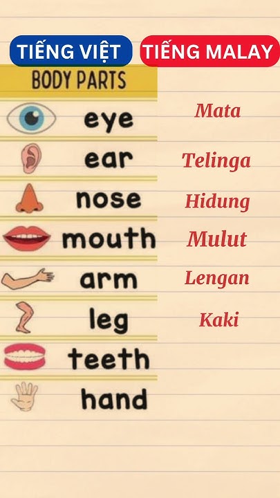 Học tiếng Malay: body parts #learnmalay #malaysia #malaylanguage #malay ...