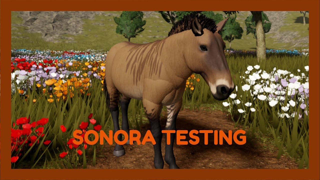 ROBLOX SONORA TESTING - YouTube