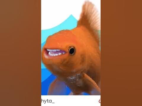 Heckle Fish Rap - Why Files - YouTube
