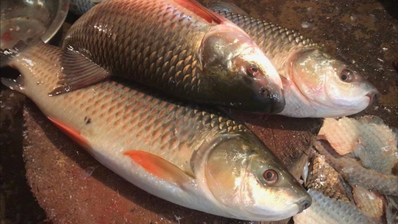 Fresh Rui Fish Cutting Skills in 2019 II Fastest Rui Fish Cutting and ...