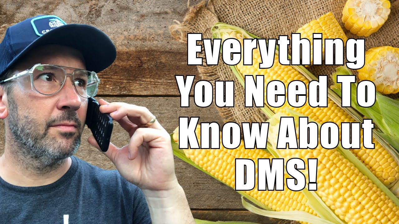 Understand The Science Of DMS In Your Beer! - YouTube