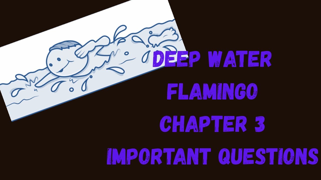 DEEP WATER FLAMINGO CHAPTER SUMMARY AND IMPORTANT QUESTIONS|| ICONIC ...