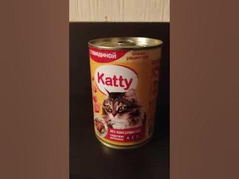 Katty корм для кошек, который не едят даже уличные. - YouTube