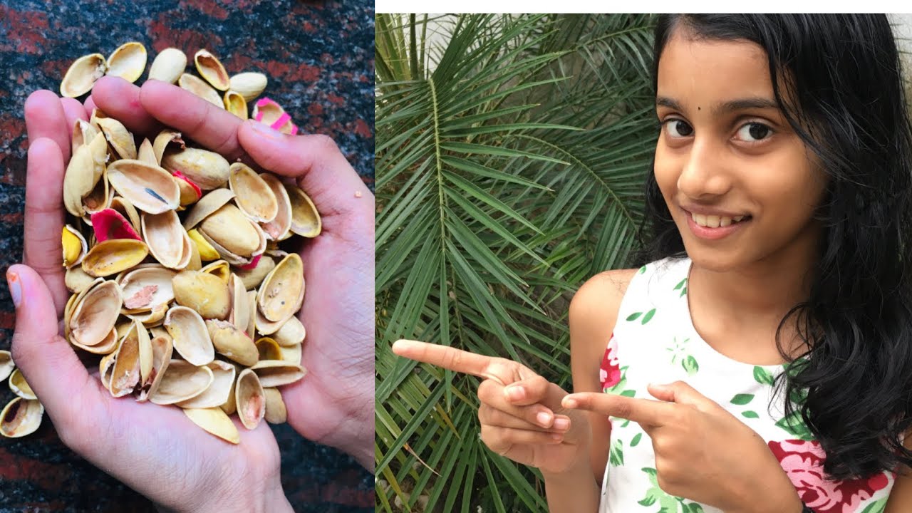 Pumpkin Seed and Pistha Shell Wall Decor...Vismaya Art...Video 57 ...