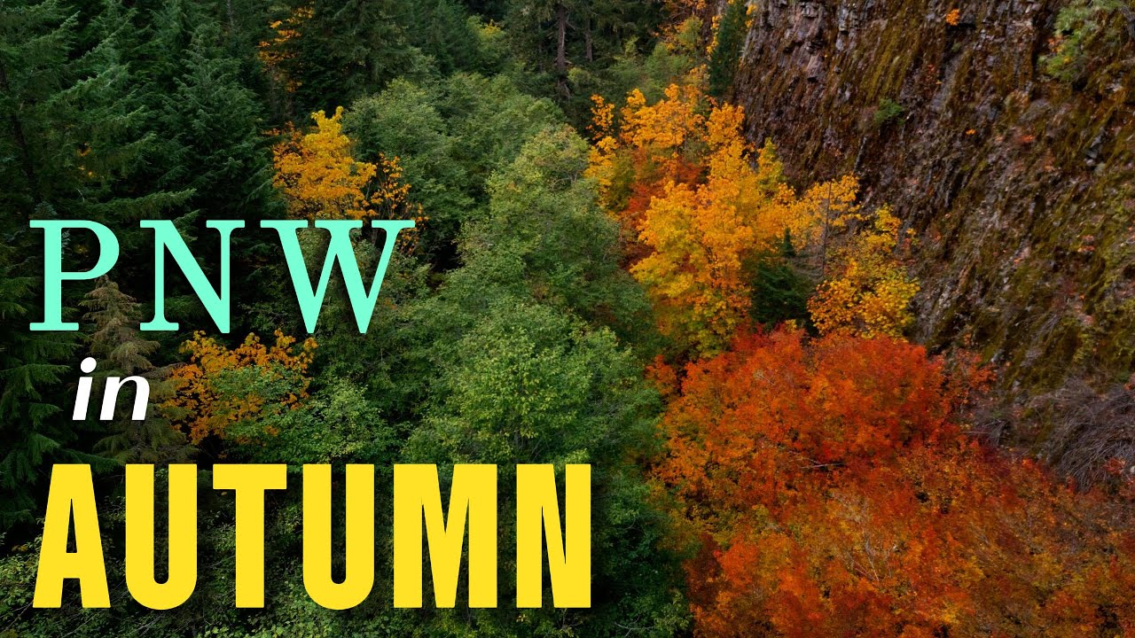 PNW road trip looking for FALL colors!!! - YouTube