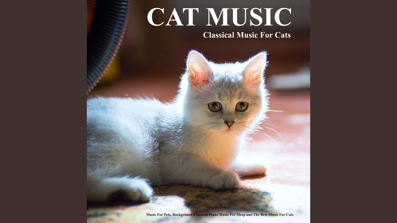Piano Sonata - Mozart - Cat Music - Classical Piano Music - Music For ...