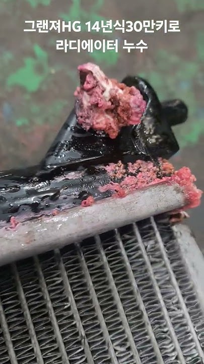 그랜져HG 14년식30만키로/부동액 보충해도 계속없어요?/라디에이터누수 확인/호수 상하 보조물통 같이교환 #그랜져hg #LPI #라디에이터 #호수 #누수 #냄새 - YouTube