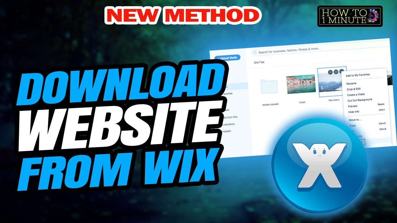 How to download website from wix - YouTube