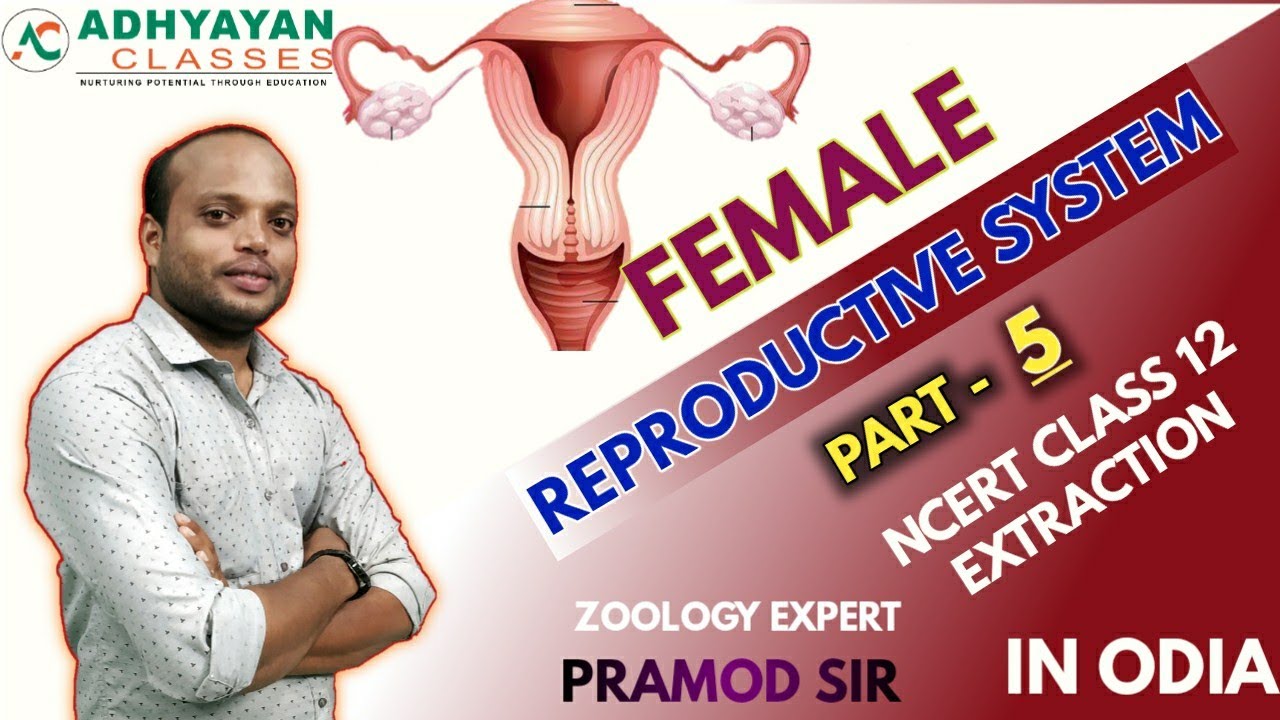 Female reproductive system | LEC-2 | NCERT | Human reproduction | class ...