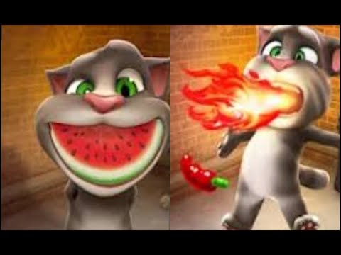 Fight With My Talking Tom Cat| Talking Ginger Cat #angry😡🤬 🍐🍒🍕🍉🍊🥞🍑 # ...