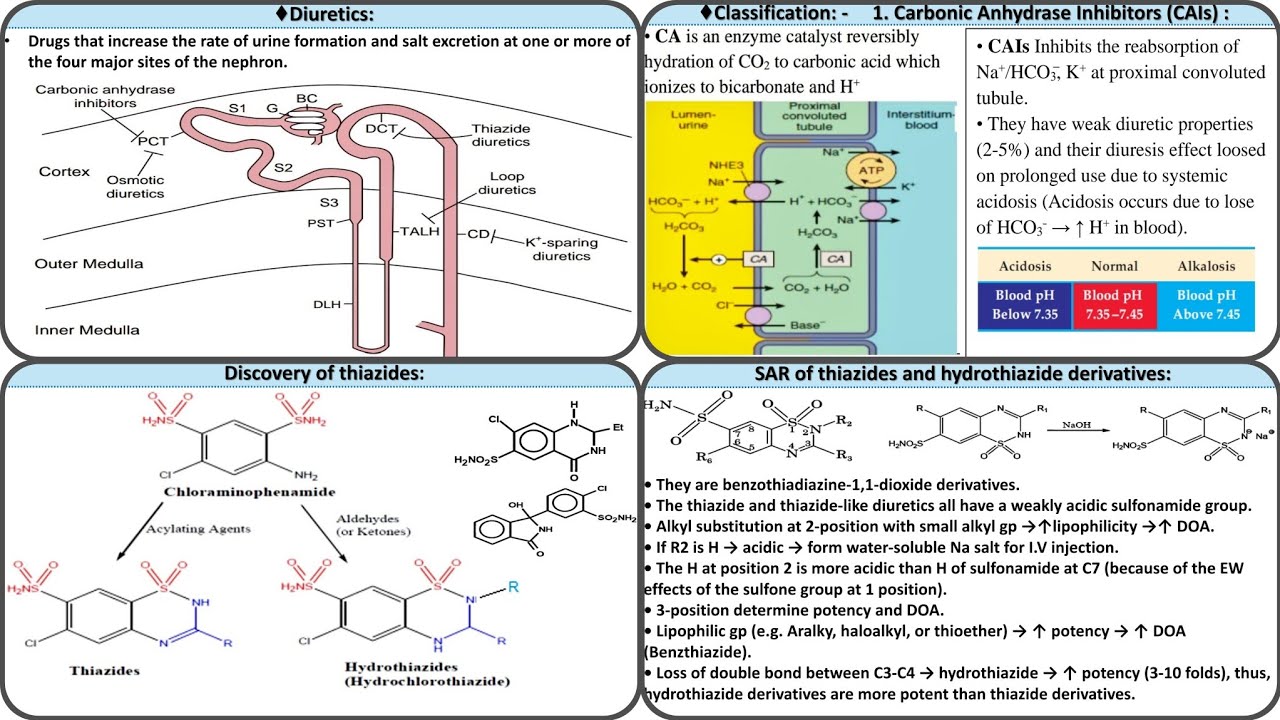 05- Medicinal Chemistry 2: Cardiovascular Drugs [ Diuretics part 1 ...