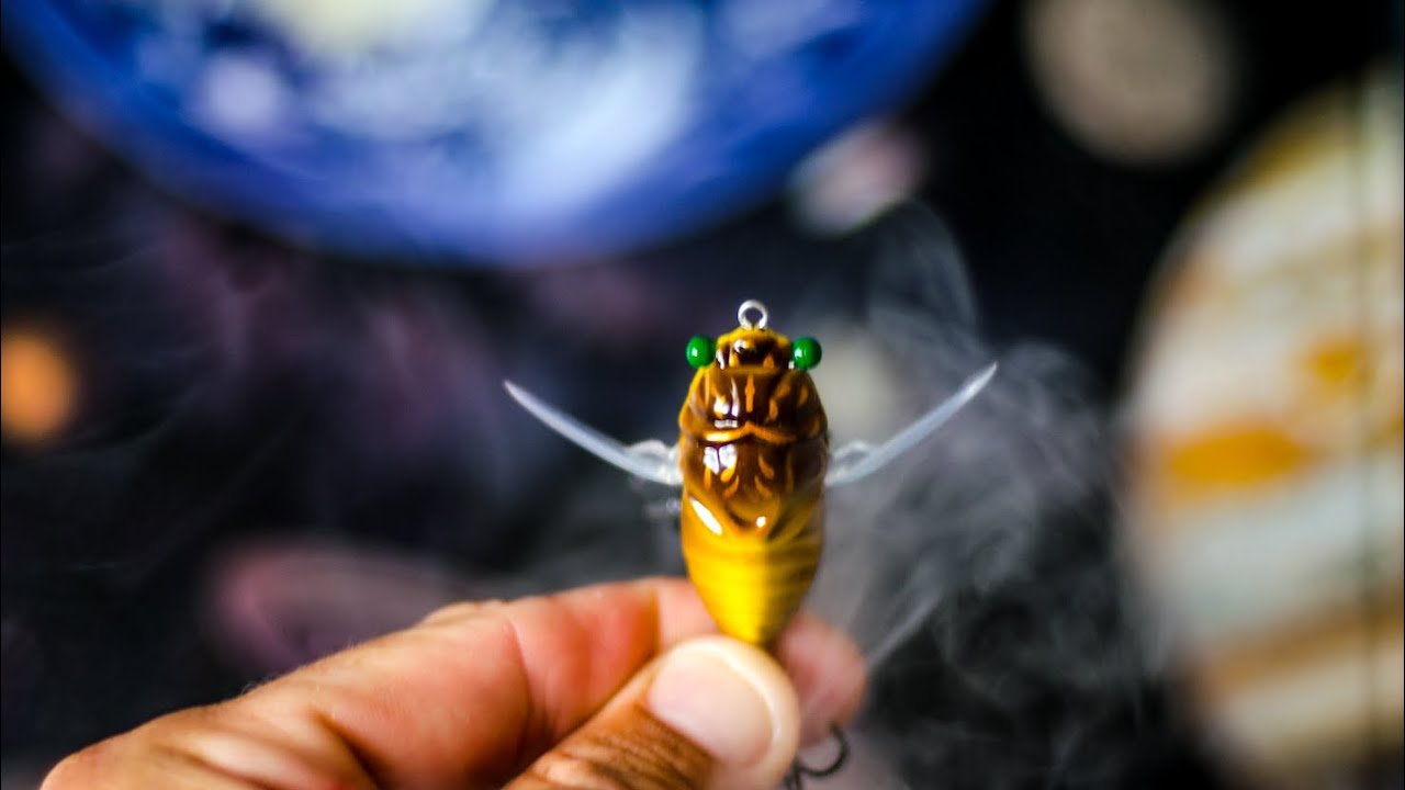 Bugs For Bream.. - YouTube