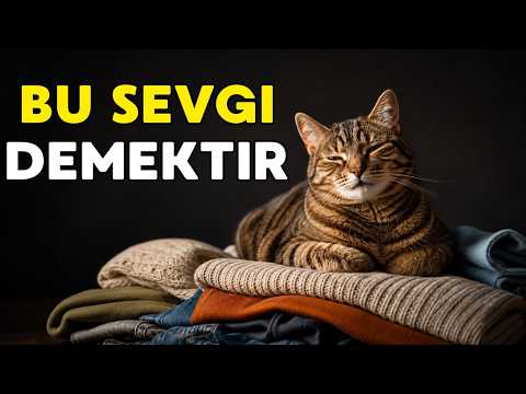 Kediniz size \