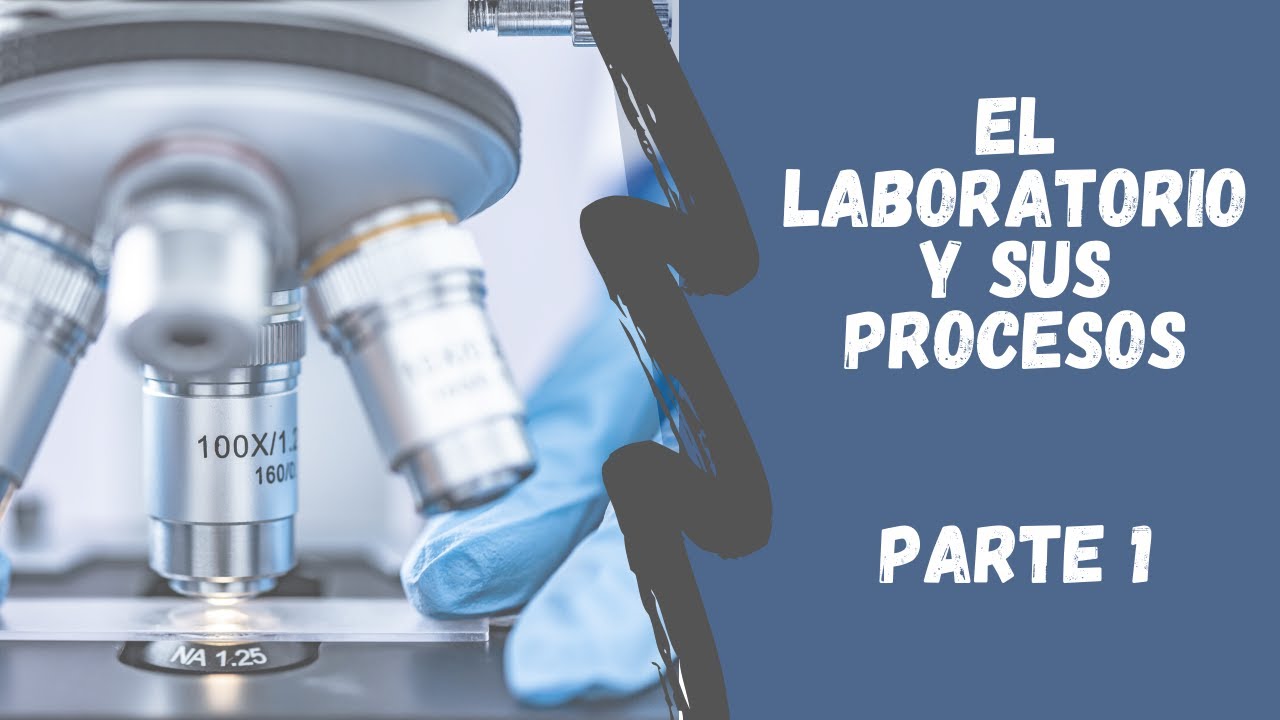 El Laboratorio y sus Procesos│Parte 1 - YouTube